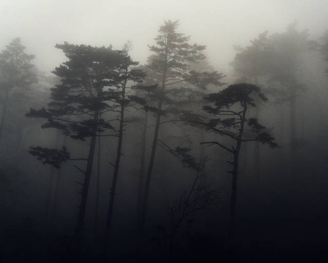 Beautiful Everyday Life Picture by Thomas Prior – Fubiz Media