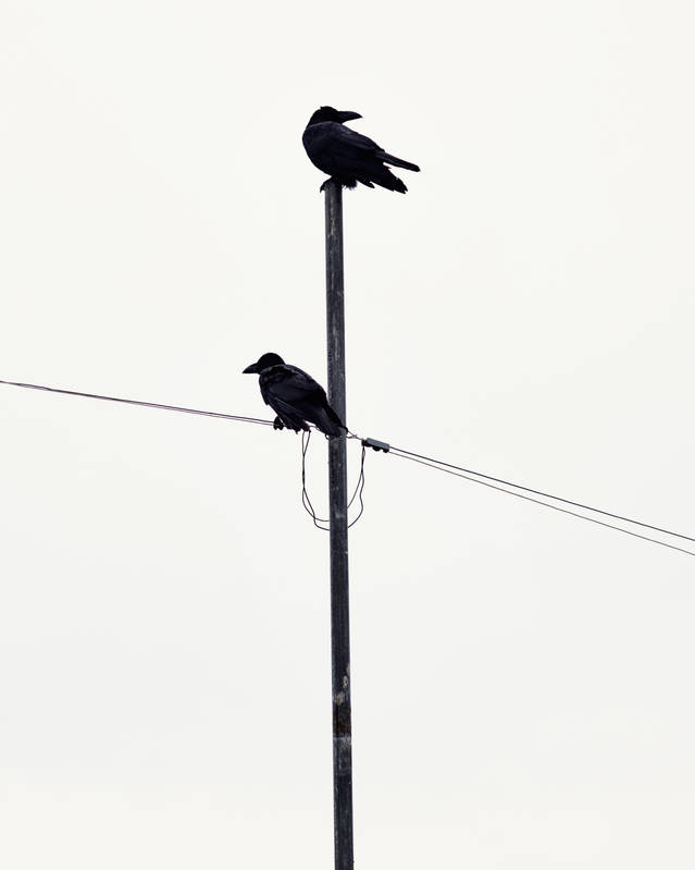 Beautiful Everyday Life Picture by Thomas Prior – Fubiz Media