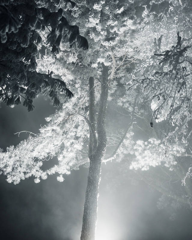 Beautiful Everyday Life Picture by Thomas Prior – Fubiz Media