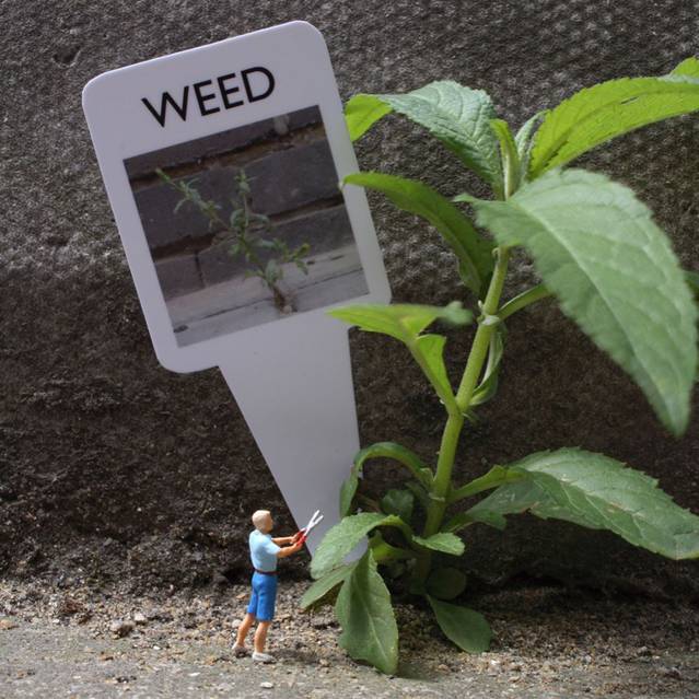 Adorable Miniature Figurines by Slinkachu – Fubiz Media