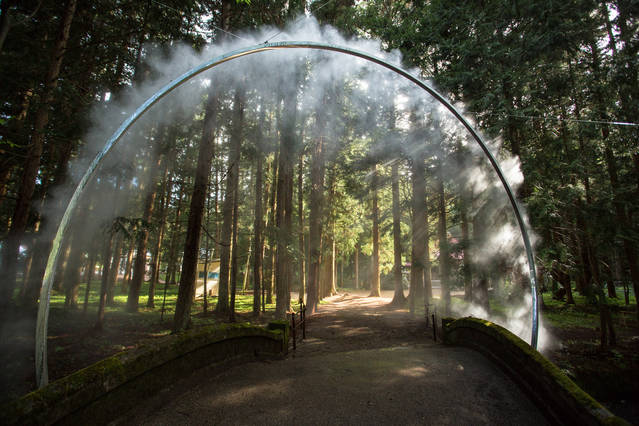 Mystical Arc in the Forest by James Tapscott – Fubiz Media