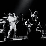 Unique Photos of Bruce Springsteen by Frank Stefanko – Fubiz Media