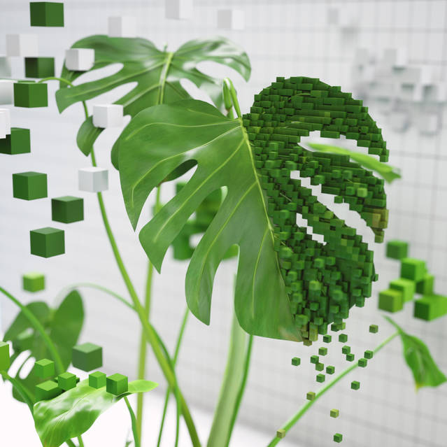 Surreal and Colourful Artwork by OUUM Studio – Fubiz Media