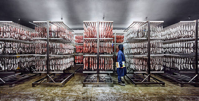 Large Scale Photography by Nick Franck – Fubiz Media