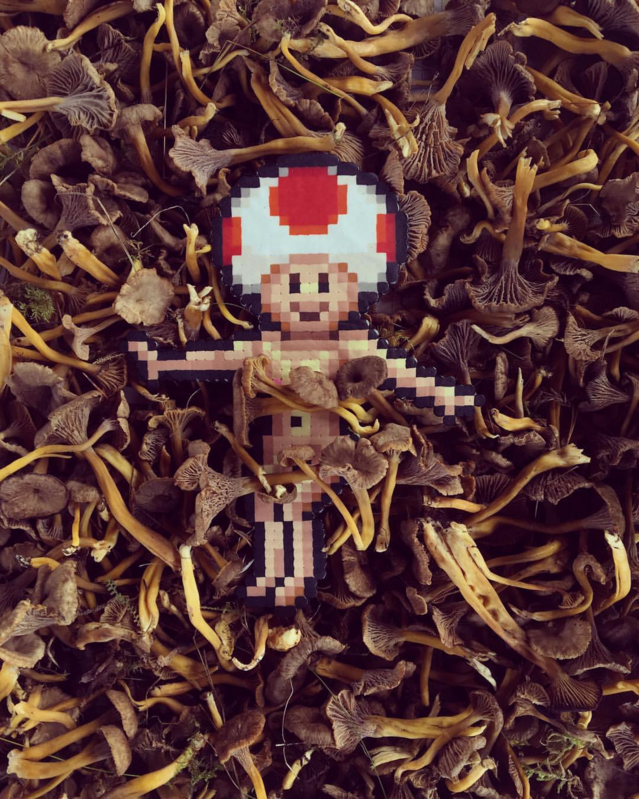 Amazing Pixel Art by Pappas Pärlor – Fubiz Media