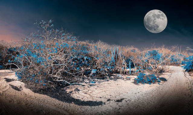 Impressive Surrealist Photographs and Edits of Mexico – Fubiz Media