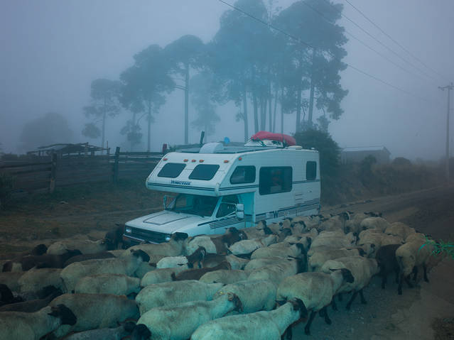Surreal and Colourful Exploration of Mexico – Fubiz Media