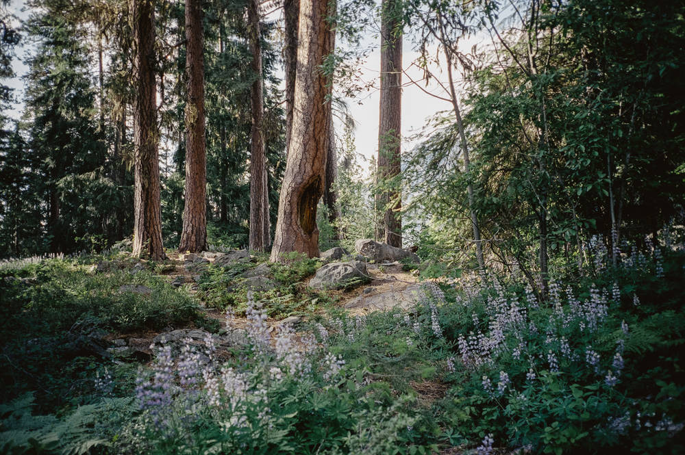 Stunning Cold Landscapes Photography – Fubiz Media