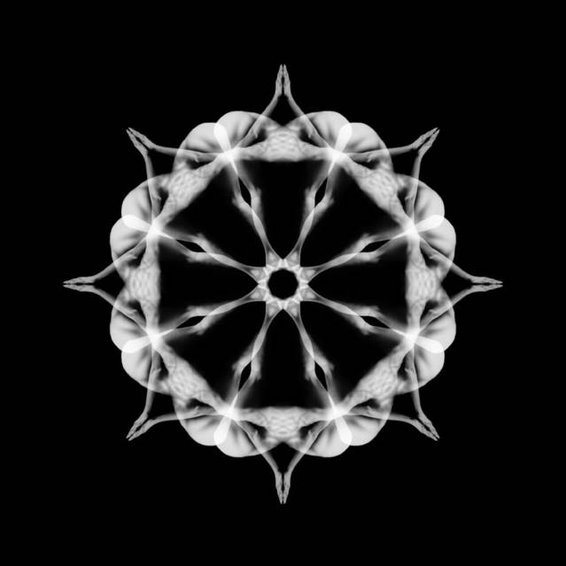 Impressive Body Mandalas – Fubiz Media