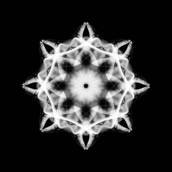 Impressive Body Mandalas – Fubiz Media