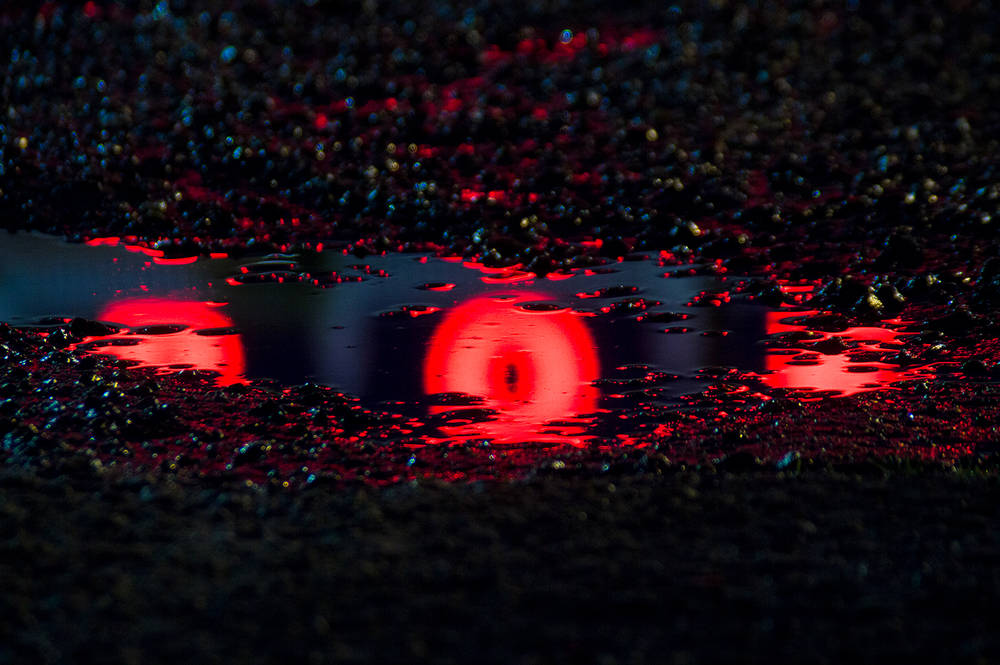 Stunning Pictures of Neon Reflects on Puddles – Fubiz Media
