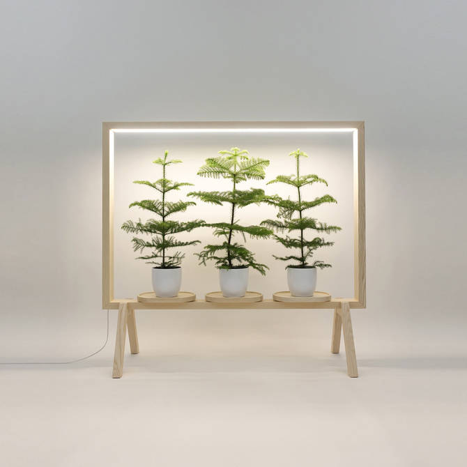Minimalist Frame for Potted Plants – Fubiz Media