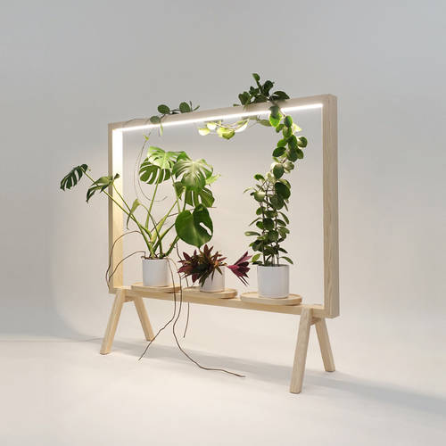 Minimalist Frame for Potted Plants – Fubiz Media
