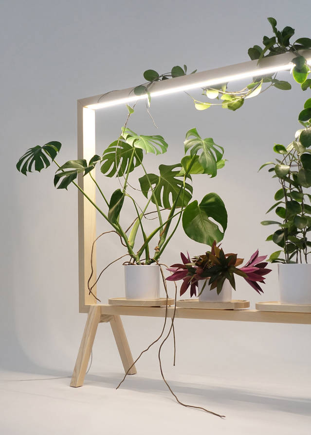 Minimalist Frame for Potted Plants – Fubiz Media