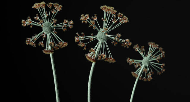 Unique Digital Flowers – Fubiz Media