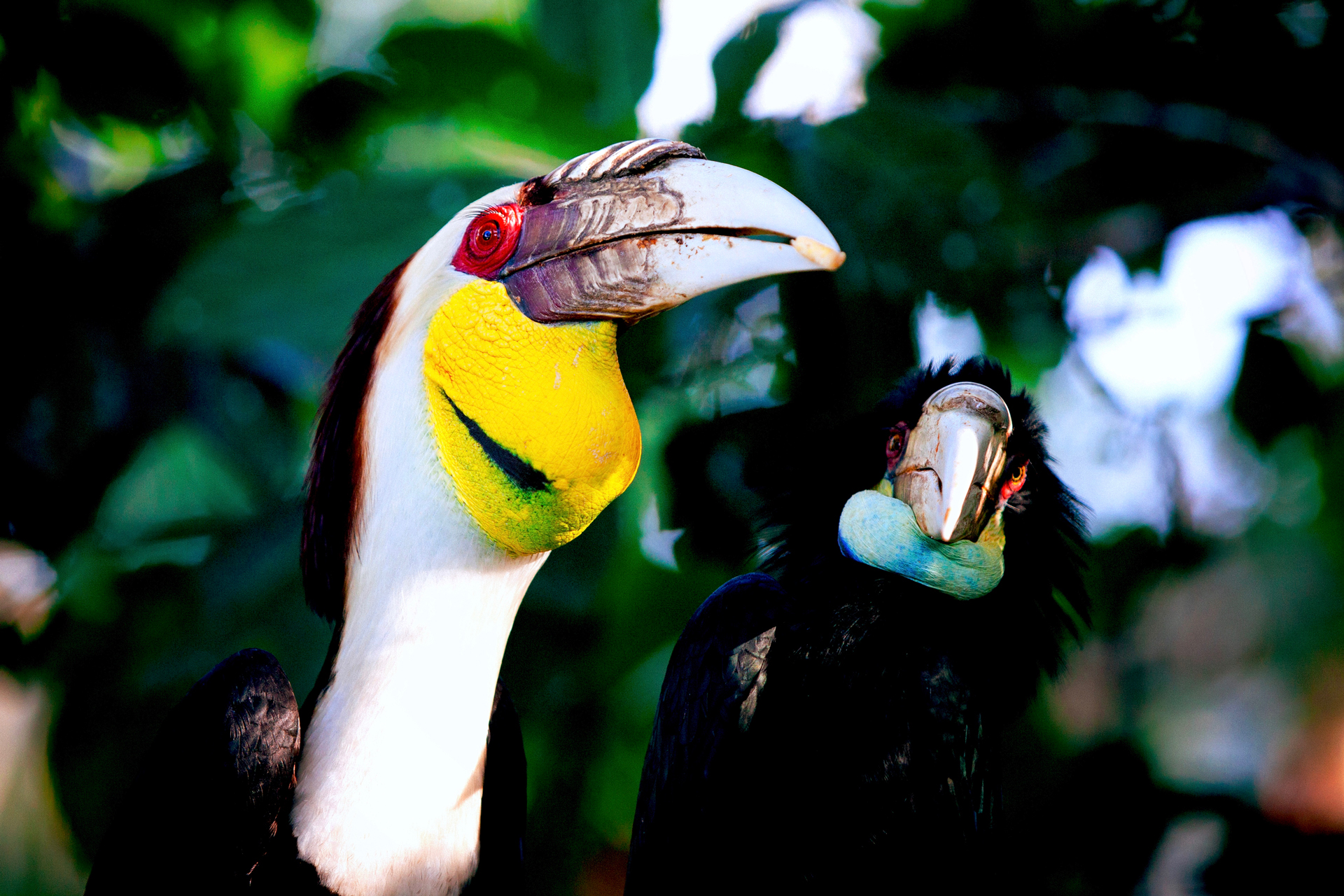 Spectacular Images of Indonesia’s Lesser Sunda Islands