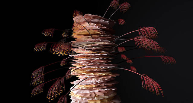 Unique Digital Flowers – Fubiz Media