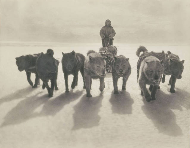 Rare Photography of the First Expedition to Antarctic – Fubiz Media