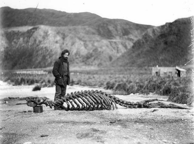 Rare Photography of the First Expedition to Antarctic – Fubiz Media