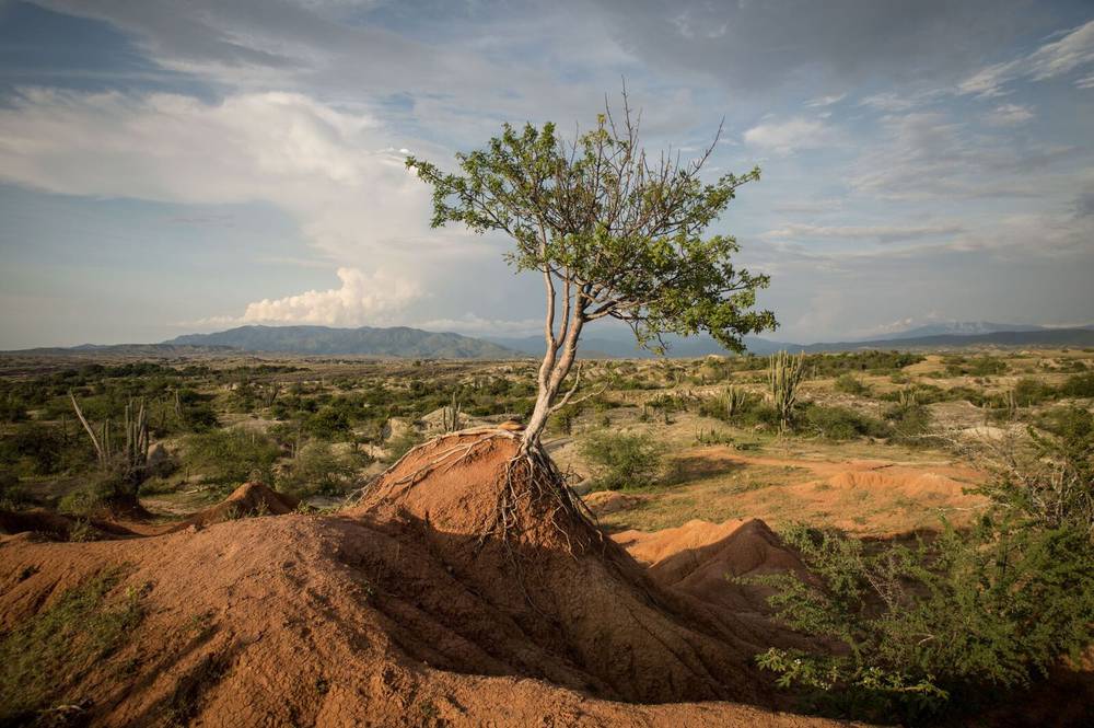 Road Trip in the Colombian Desert – Fubiz Media