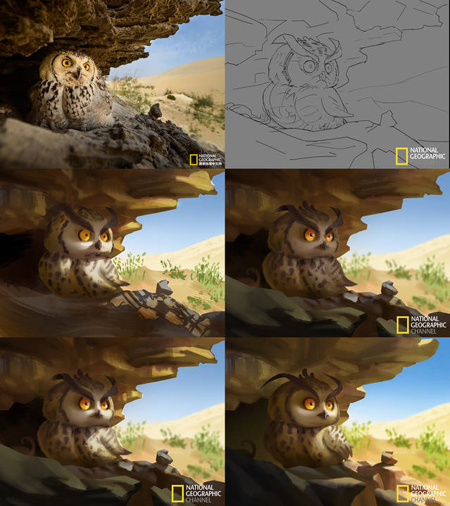 Cartoon National Geographic – Fubiz Media