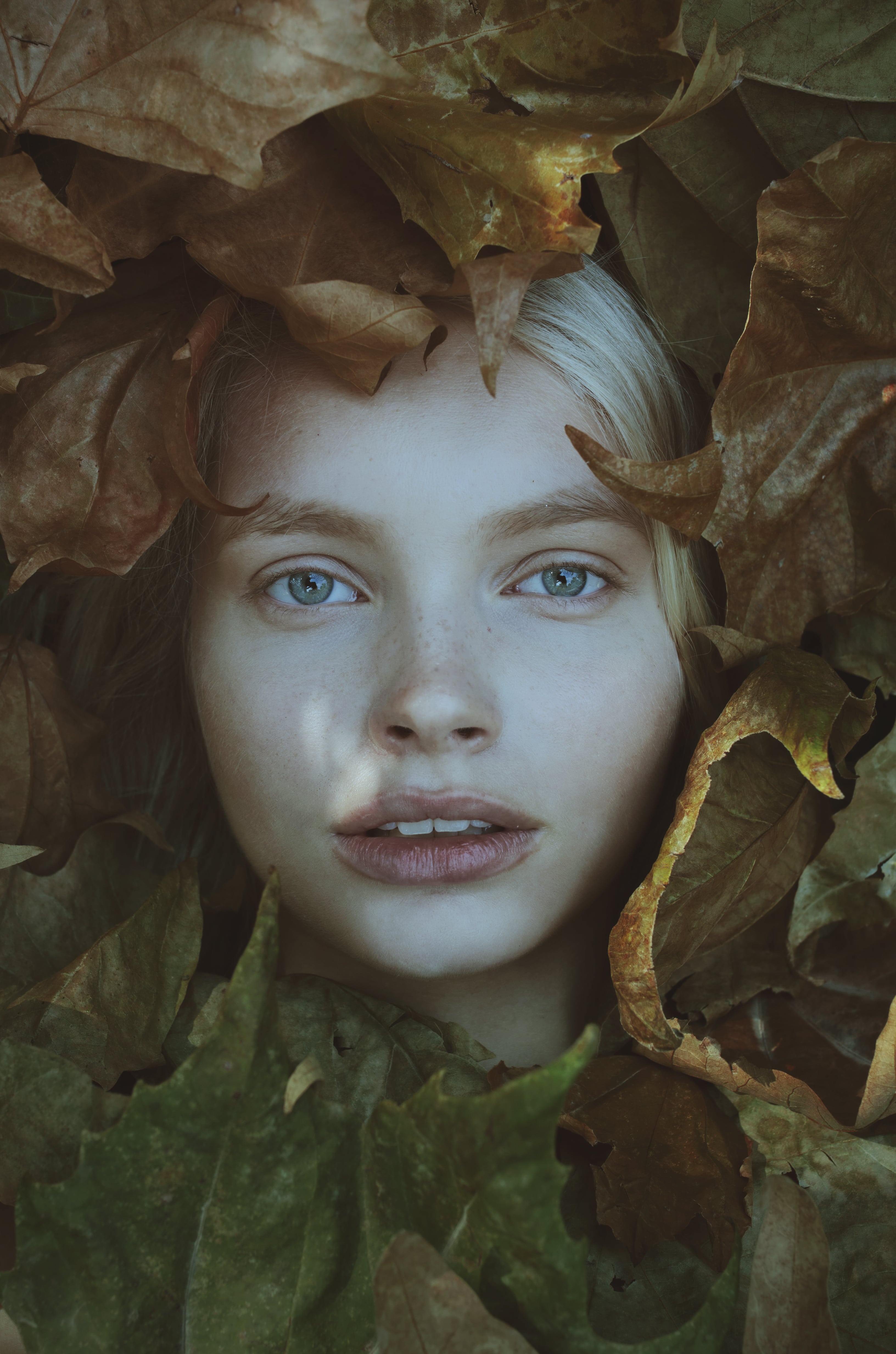 M20 min Fubiz Media