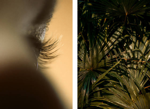 Contrasts Between Nature and Urbanity by Al Mefer – Fubiz Media