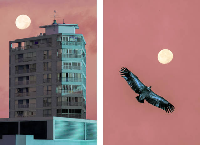 Contrasts Between Nature and Urbanity by Al Mefer – Fubiz Media