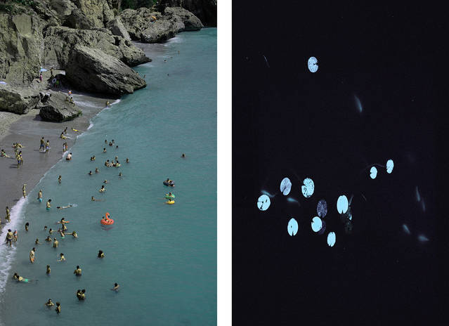 Contrasts Between Nature and Urbanity by Al Mefer – Fubiz Media