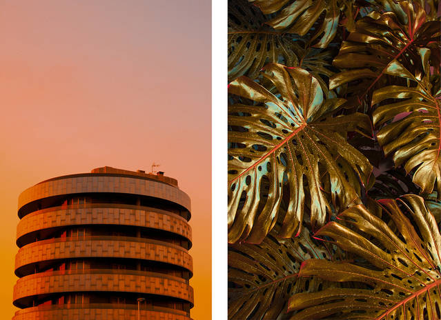 Contrasts Between Nature and Urbanity by Al Mefer – Fubiz Media