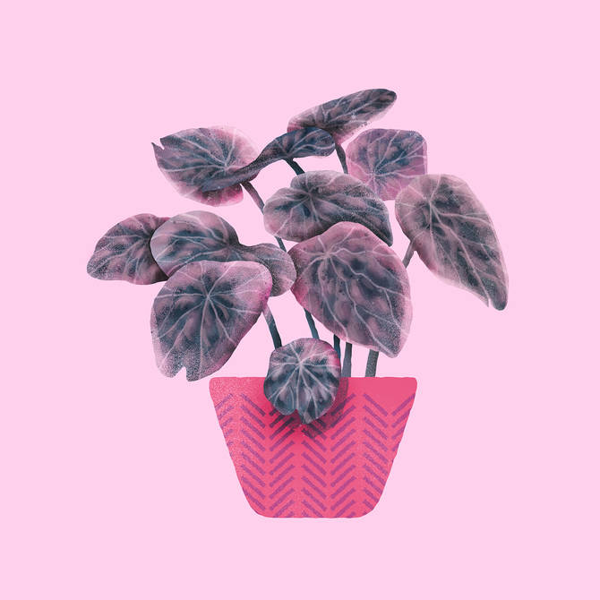 Lovely and Playful Plants – Fubiz Media