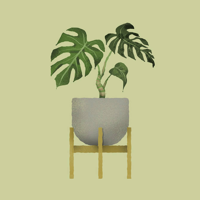 Lovely and Playful Plants – Fubiz Media
