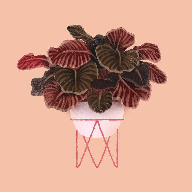 Lovely and Playful Plants – Fubiz Media
