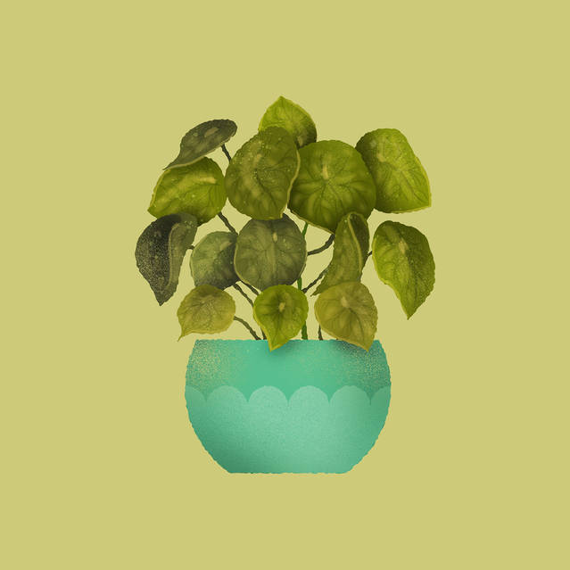 Lovely and Playful Plants – Fubiz Media