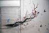Pejac Pulls Nature Into Town – Fubiz Media