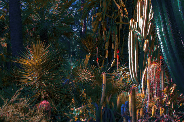 Nature, Mutation and Apocalypse with Al Mefer – Fubiz Media