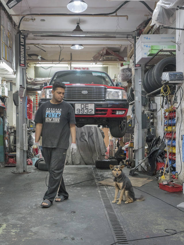 Meet Hong Kong’s Garage Dogs – Fubiz Media