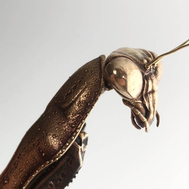 Bronze Prehistorical Insects – Fubiz Media