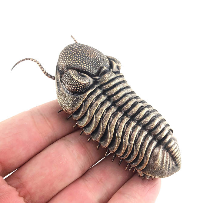 Bronze Prehistorical Insects – Fubiz Media