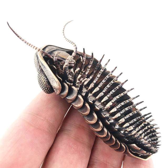 Bronze Prehistorical Insects – Fubiz Media