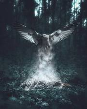 Marco Zagara and His Poetic Digital Art – Fubiz Media