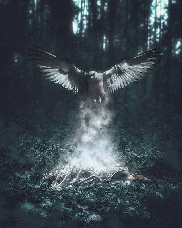 Marco Zagara and His Poetic Digital Art – Fubiz Media