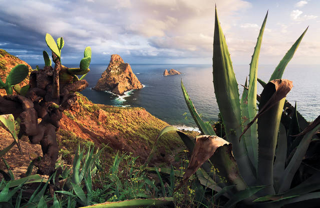 The Beauty of the Canary Islands – Fubiz Media