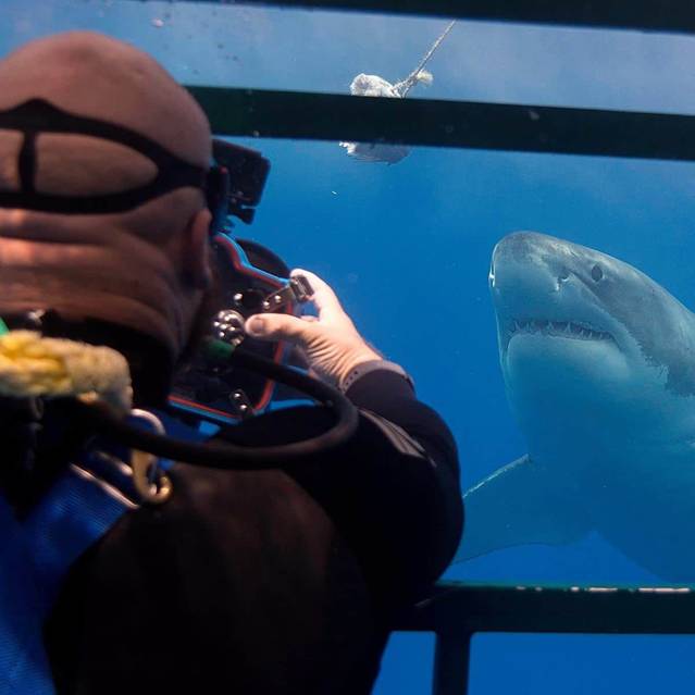 Photographer Shot the Perfect Jaws’ Poster in Real Life – Fubiz Media