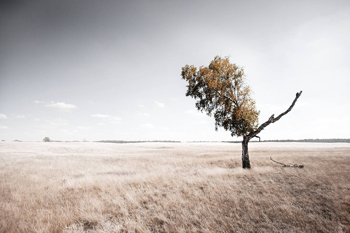 Split – Fubiz Media