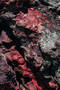 Through The Lens Of Photographer Chiara Zonca – Fubiz Media