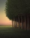 Awesome Surreal Landscapes by Benjamin Everett – Fubiz Media