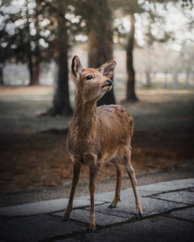 Beautiful Outdoor Photography by Luke Stackpoole – Fubiz Media