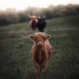 Beautiful Outdoor Photography by Luke Stackpoole – Fubiz Media