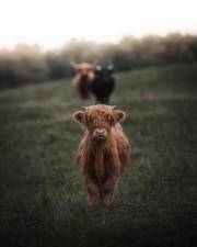 Beautiful Outdoor Photography by Luke Stackpoole – Fubiz Media